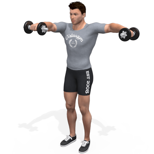 Dumbbells L-raise (alternating) Video Exercise Guide