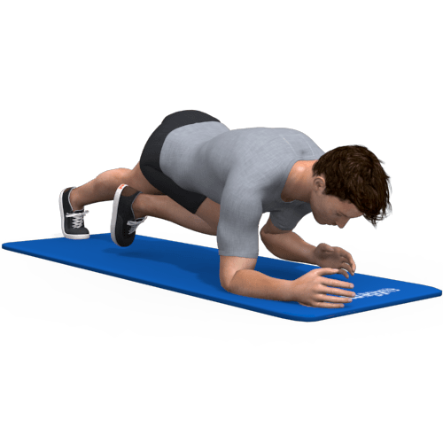 Plank Knee To Elbow Video Exercise Guide