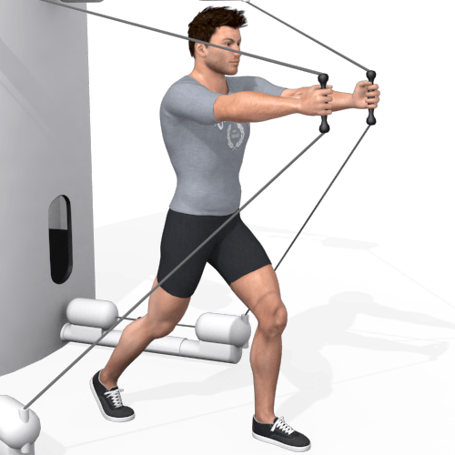 Kinesis Fly Video Exercise Guide