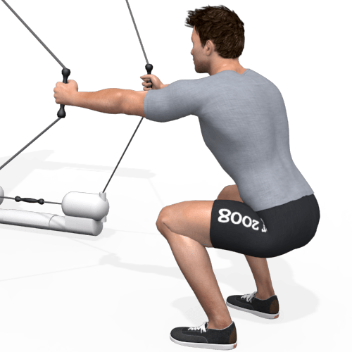 Kinesis Squat And Pull Video Exercise Guide