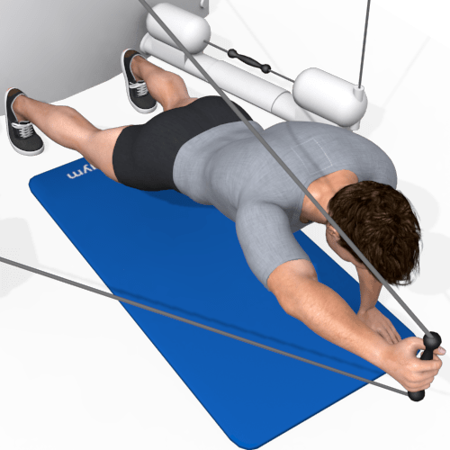 Kinesis Plank Shoulder Press Video Exercise Guide