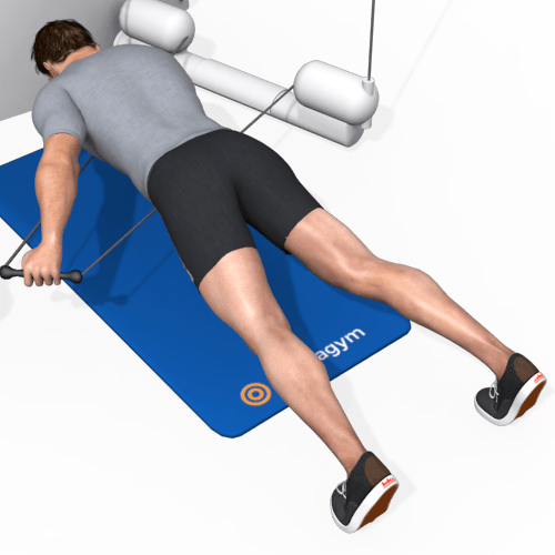 Kinesis Plank Triceps Extension Video Exercise Guide
