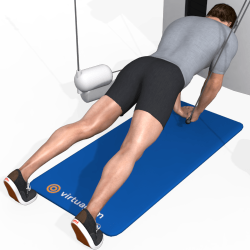 Kinesis Plank Fly Video Exercise Guide