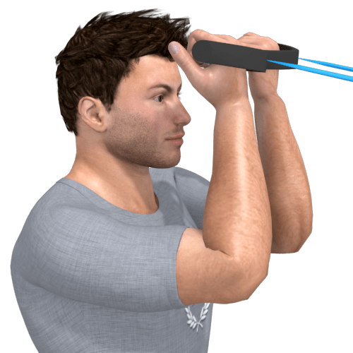 Elastics Biceps Front Curl Video Exercise Guide