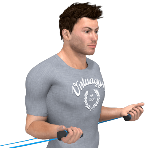 Elastics Biceps Stretch Curl Video Exercise Guide