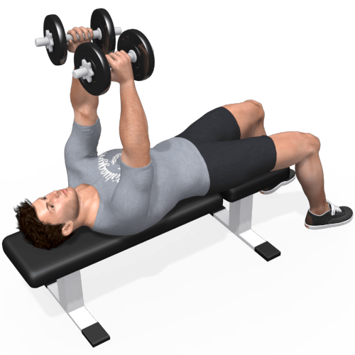 Dumbbells Bench Press Narrow Video Exercise Guide