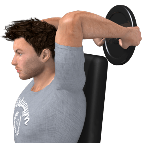 Weight Plate Triceps Extension Seated Video Exercise Guide
