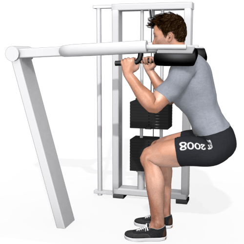 Reverse Hack Squat, Switching Machine Video Exercise Guide