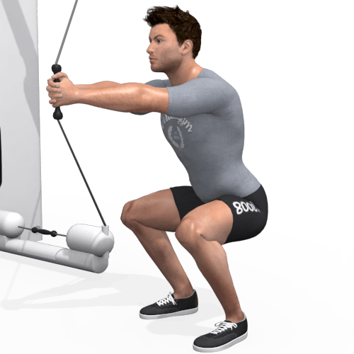 Kinesis Squat Core Stability Video Exercise Guide