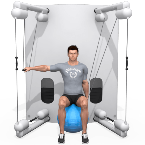 Exercise Ball Straight Arm Pull Down Seated Video Exercise Guide