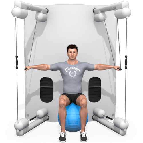 Exercise Ball Straight Arm Pull Down Seated (alternating) Video ...