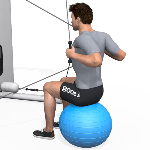 Exercise Ball Seated Row Reach Video Exercise Guide