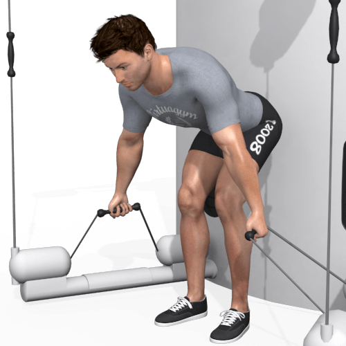 Kinesis Good Morning Video Exercise Guide