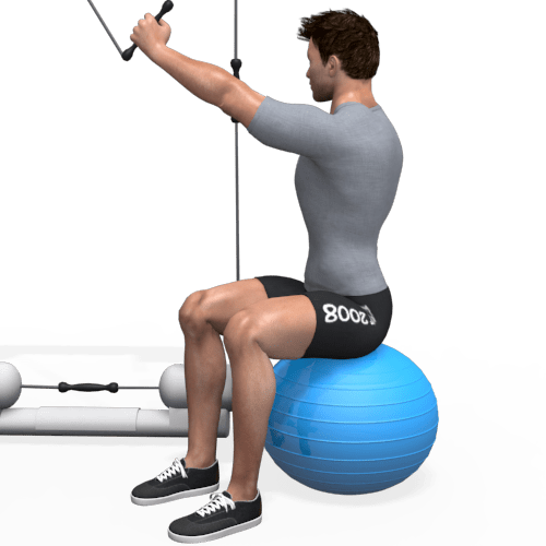 Exercise Ball Rotary Twist To Tricep Extension Video Exercise Guide