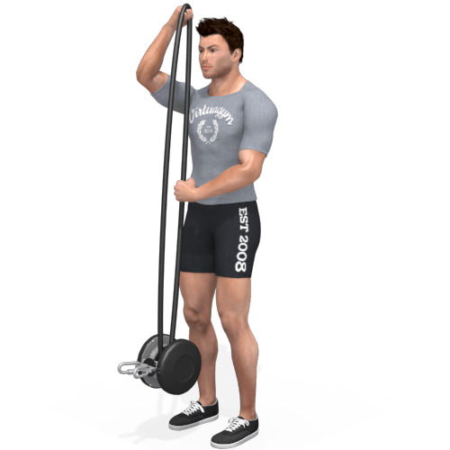 Pulley High Pull Video Exercise Guide