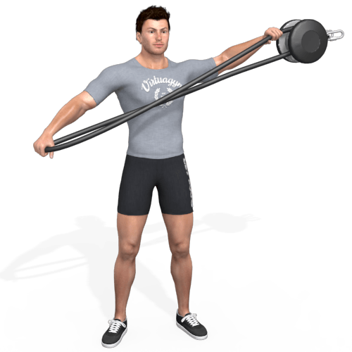 Pulley Lateral Pull Video Exercise Guide