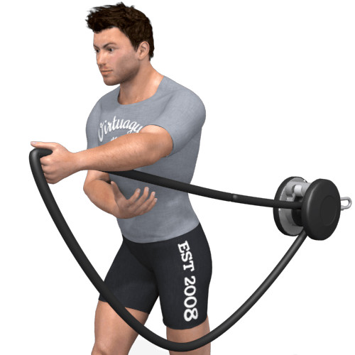 Pulley Single Handed Press Video Exercise Guide