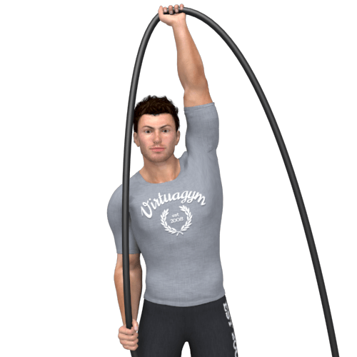 Pulley Lateral Shoulder Press Video Exercise Guide