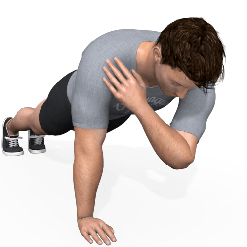 Plank Tap Shoulder Alternating Video Exercise Guide