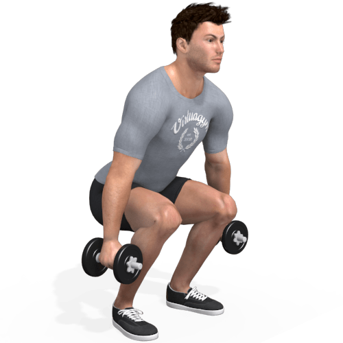 Dumbbells Squat To Shoulder Press Video Exercise Guide