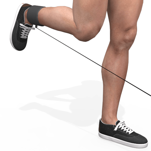 Pulley Hamstring Curl Standing Video Exercise Guide