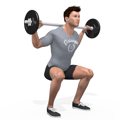 Barbell Squat Video Exercise Guide