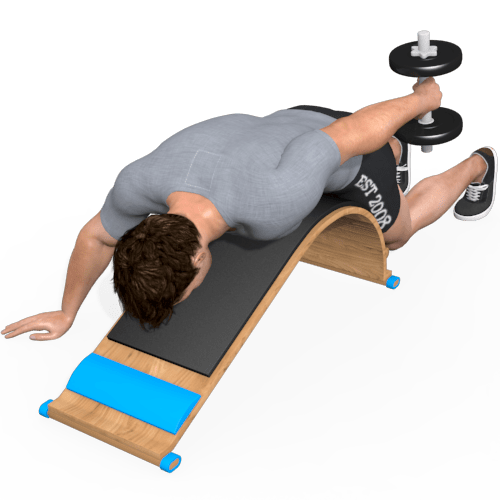 Bodybow Rear Shoulder Raise Video Exercise Guide