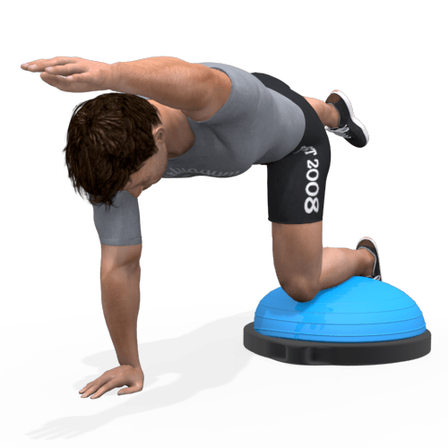 Bosu Kneeling Diagonal Extension Video Exercise Guide