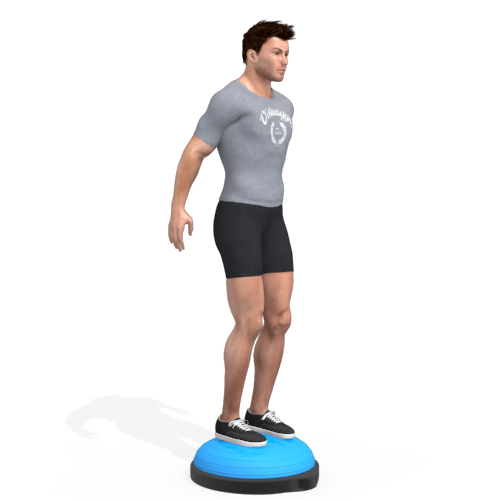 Bosu Standing Bounce Video Exercise Guide