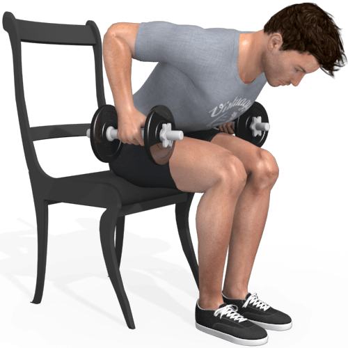 Dumbbells Bent-over Row Seated, DBs Video Exercise Guide