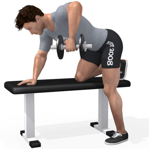 Dumbbells One Arm Side Row Video Exercise Guide