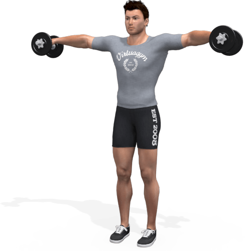 Dumbbells Lateral Raise Standing Video Exercise Guide