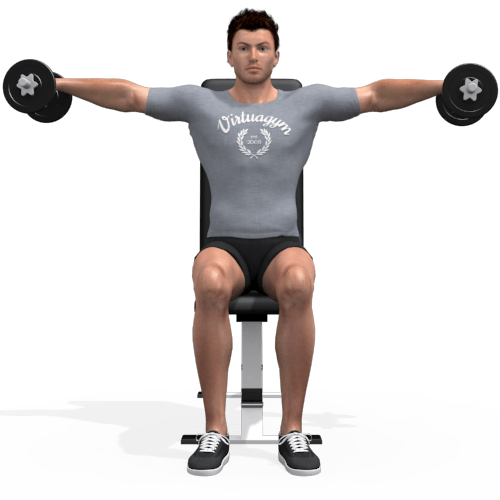 Dumbbells Side Raise Seated Video Exercise Guide