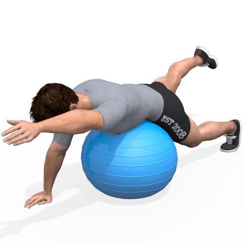 Exercise Ball Superman (alternating) Video Exercise Guide