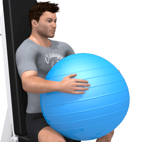 Exercise Ball Bear Hug Video Exercise Guide