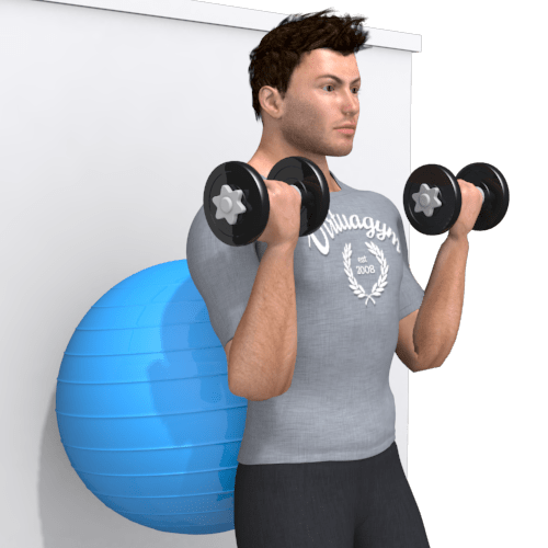 Exercise Ball Biceps Curl Standing Video Exercise Guide