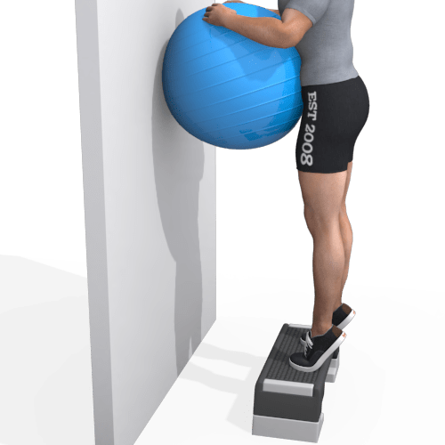 Exercise Ball Calf Raise Video Exercise Guide
