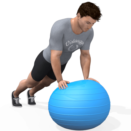 Exercise Ball Push-up Video Exercise Guide