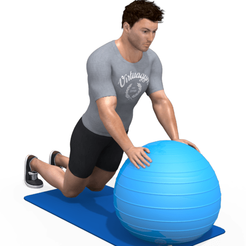 Exercise Ball Push-up Knees Video Exercise Guide