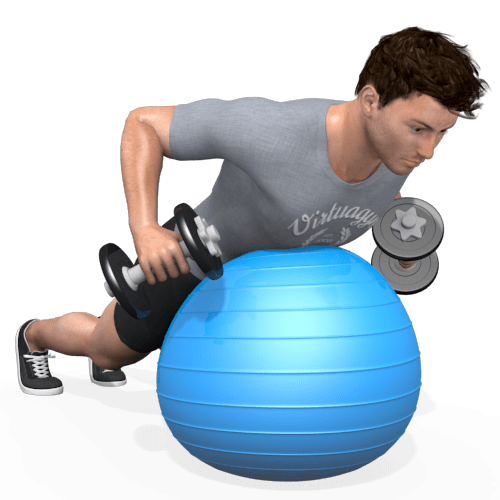 Exercise Ball Rear Deltoid Row Video Exercise Guide