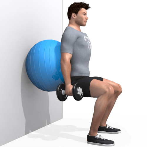 Exercise Ball Wall Squat Weighted Video Exercise Guide