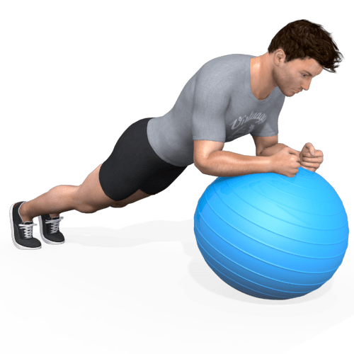 Exercise Ball Plank Knees Video Exercise Guide