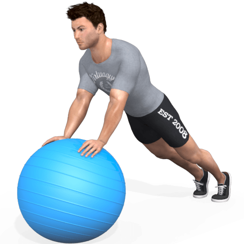 Exercise Ball Triceps Extension Video Exercise Guide