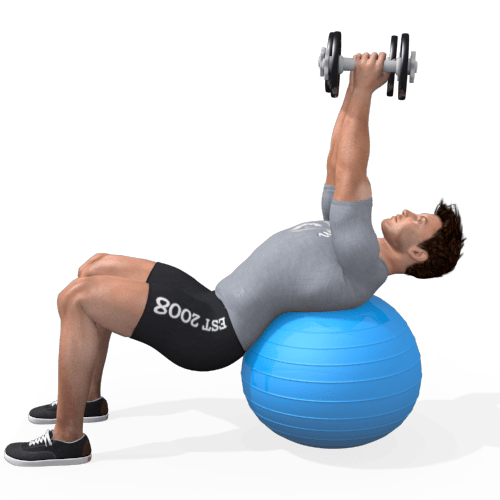 Exercise Ball Triceps Extension Weighted Video Exercise Guide