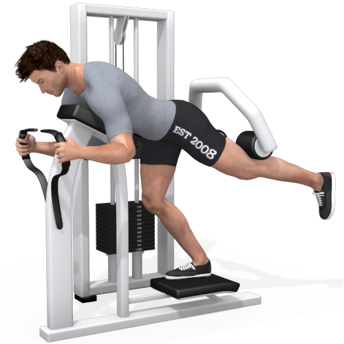 Gluteus Raise Machine Video Exercise Guide