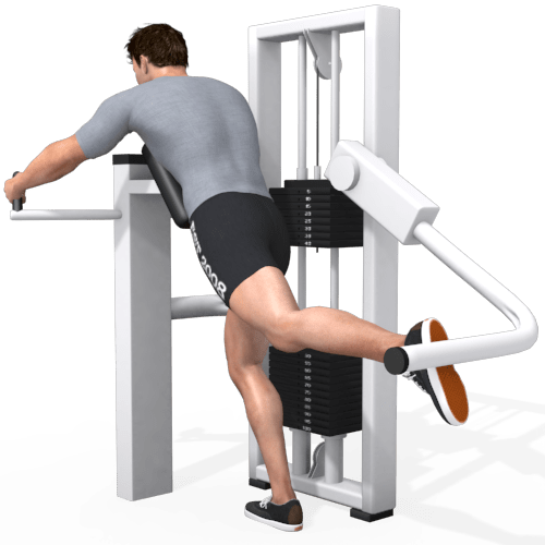 Gluteus Kick Machine Video Exercise Guide