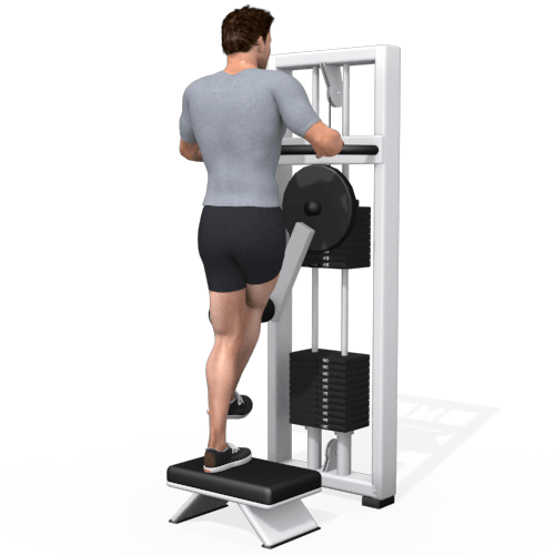 Hip Adduction, Multi-hip Machine Video Exercise Guide