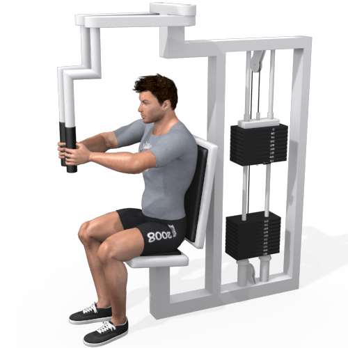 Pectoral Fly Machine Video Exercise Guide