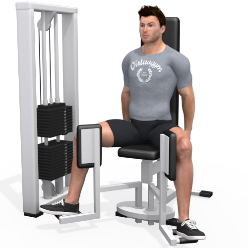 Leg Adduction Machine Video Exercise Guide