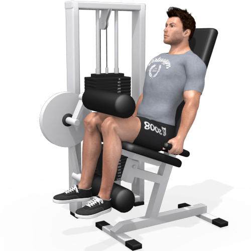 Leg Curl Seated Video Exercise Guide